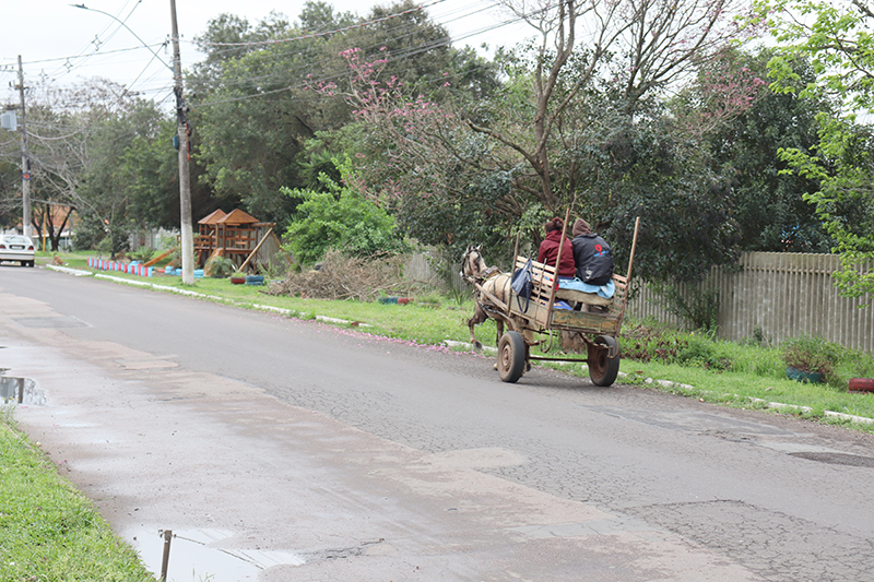 Carroças terão horários para circular em Gravataí - oreporter.net